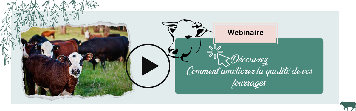 L'ensilage d'herbe : mieux produire ce fourrage