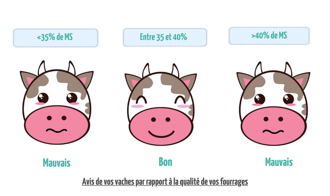 L'ensilage d'herbe : mieux produire ce fourrage