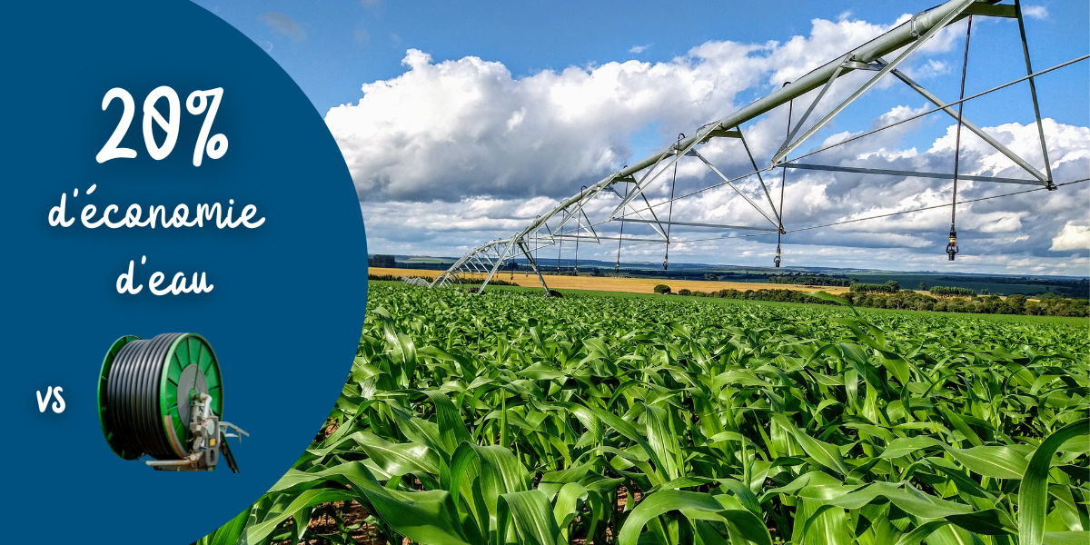 Irrigation agricole : comment choisir la bonne technique