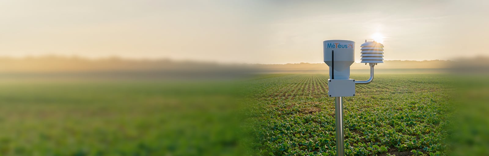 Météus Compact - Station Météo agricole de précision - 3 capteurs