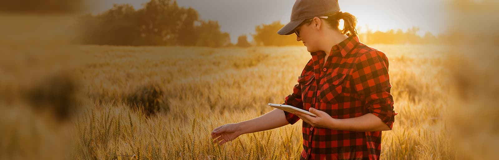 Logiciels et matériel pour le monde agricole - ISAGRI