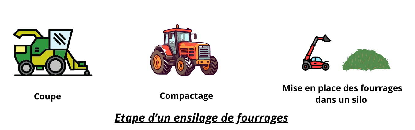 L'ensilage d'herbe : mieux produire ce fourrage
