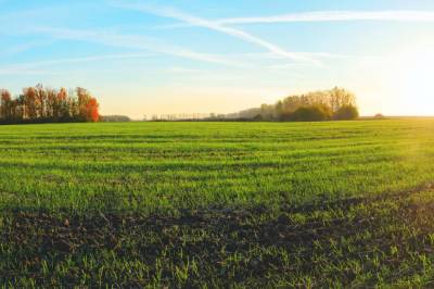 Les Outils d'Aide à la Décision (OAD) : tout comprendre