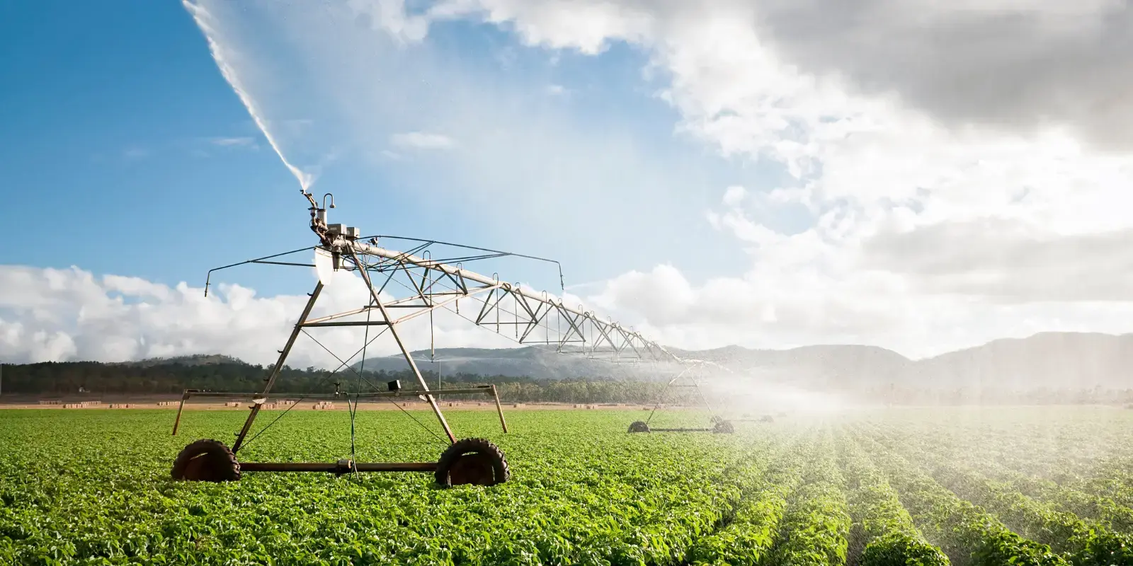 La ferti-irrigation au service de l’agriculture de précision